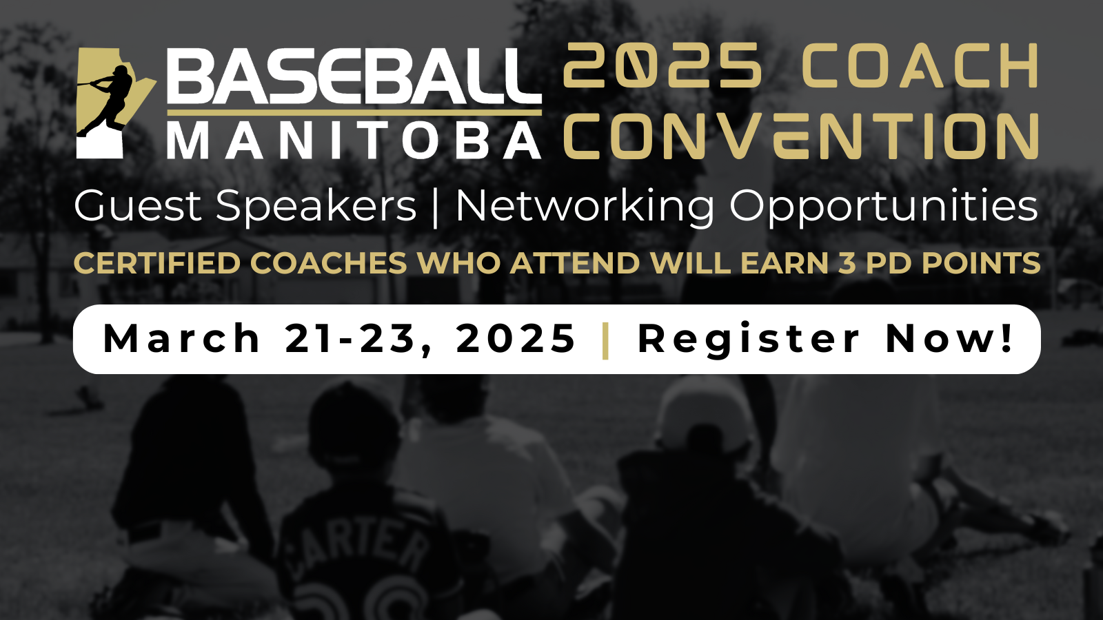 Baseball Manitoba : Website by RAMP InterActive